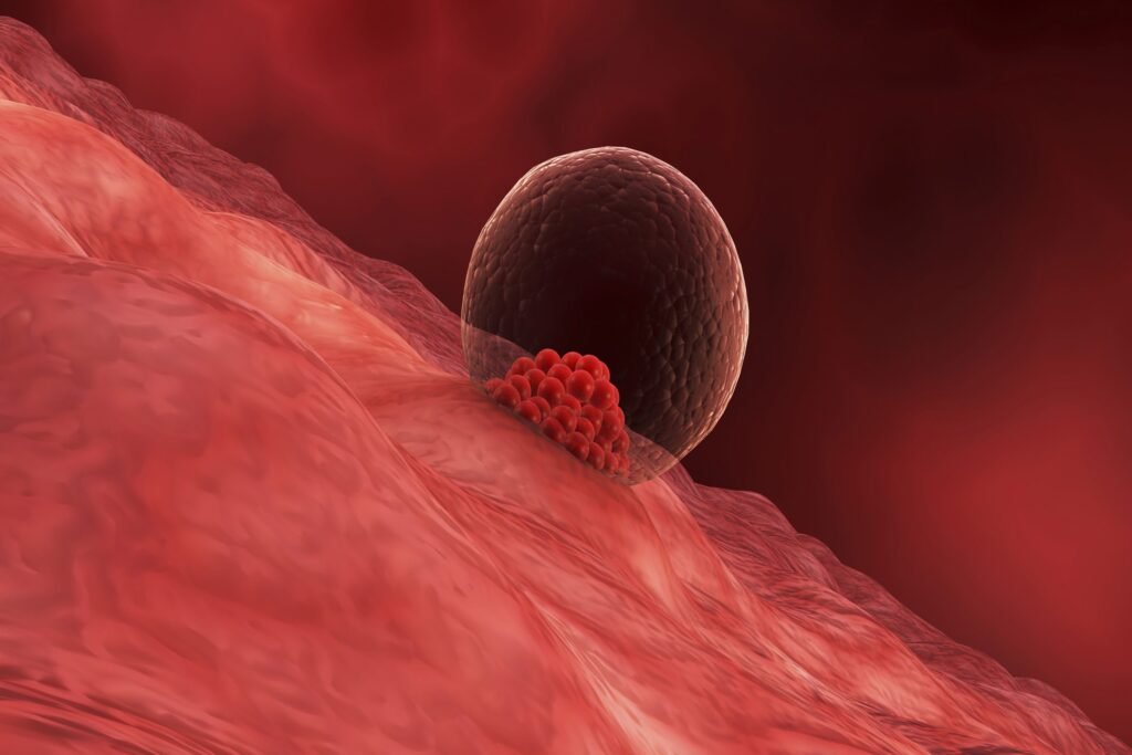 Test de Receptividad Endometrial - BioFertility Center Test de Receptividad Endometrial - BioFertility Center